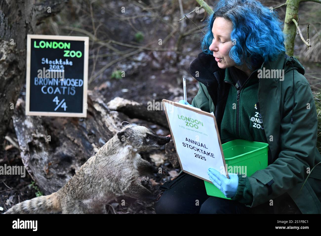 Today (3 Jan 2025), zookeepers at London Zoo readied their clipboards ...