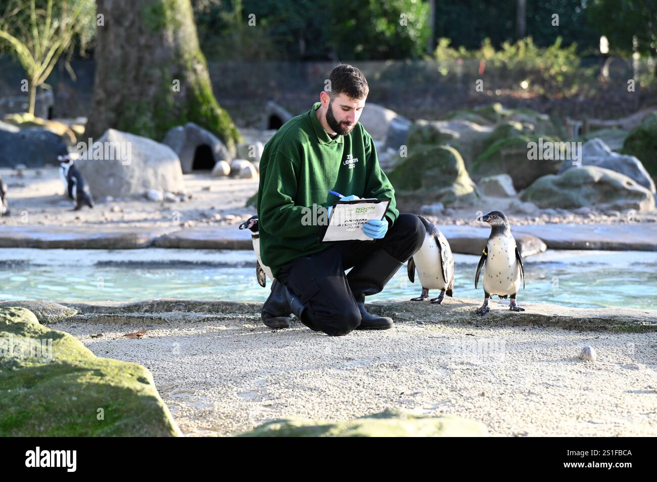 Today (3 Jan 2025), zookeepers at London Zoo readied their clipboards ...