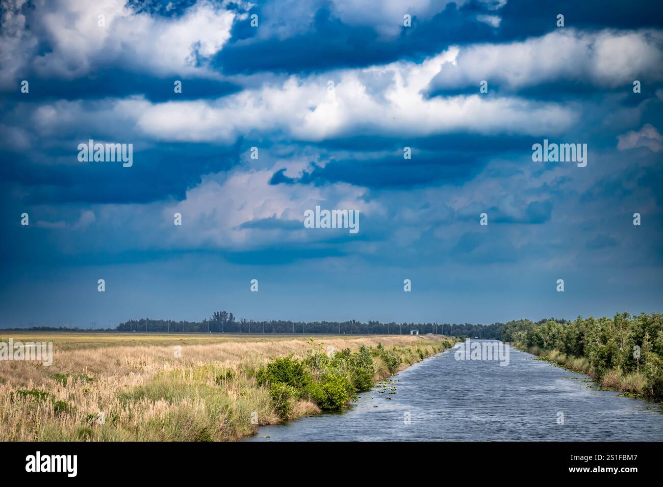 Drainage canal next to the Florida Everglades grasslands Stock Photo ...