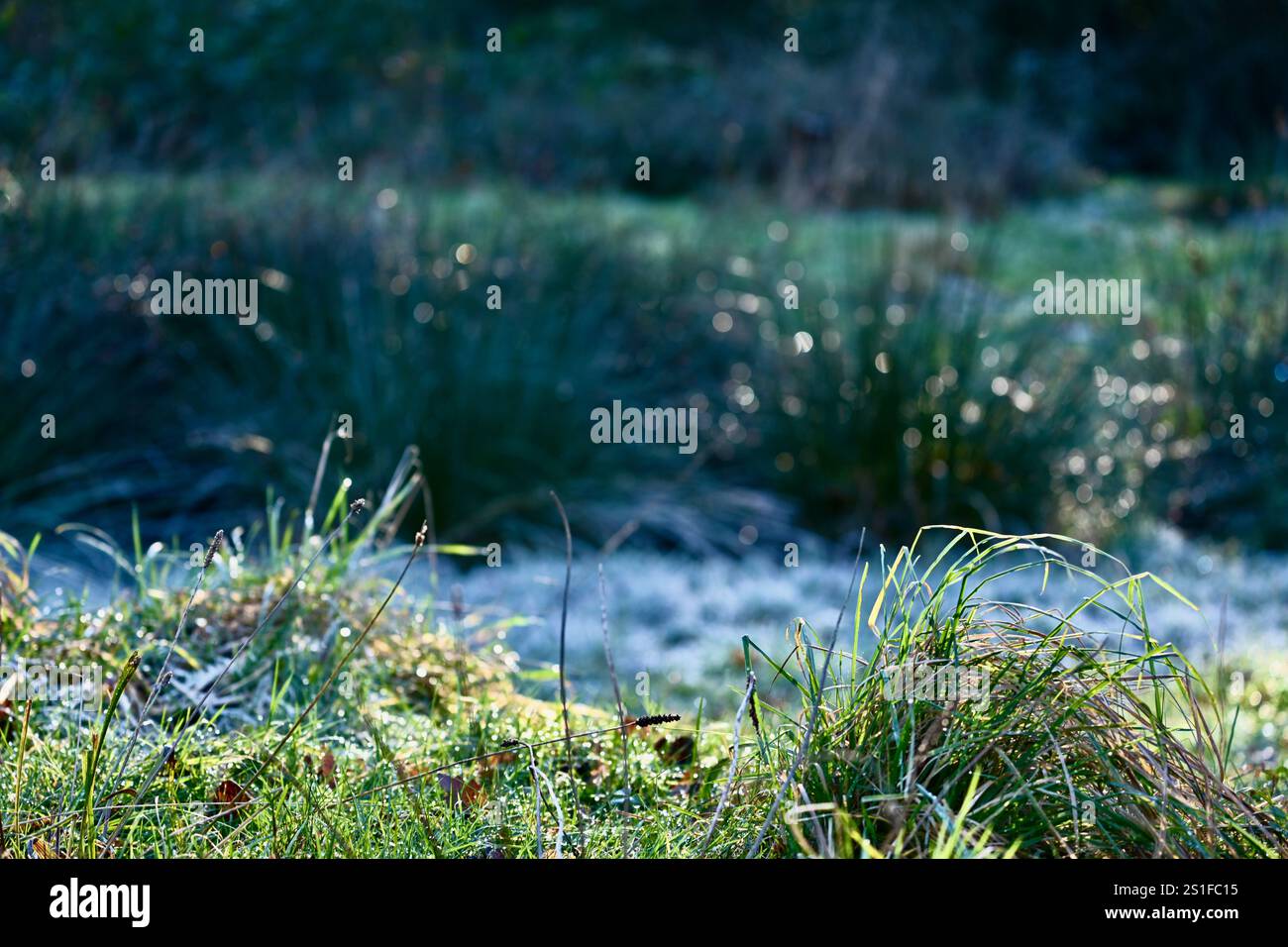 Beautiful green natural landscapes hi-res stock photography and images ...