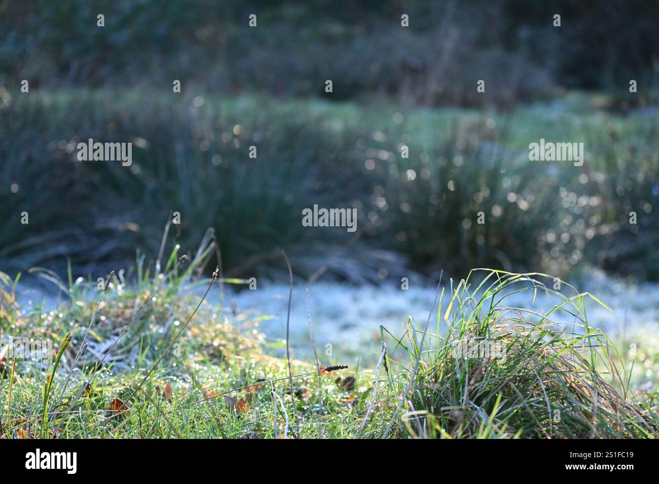 Beautiful landscapes winter nature hi-res stock photography and images ...