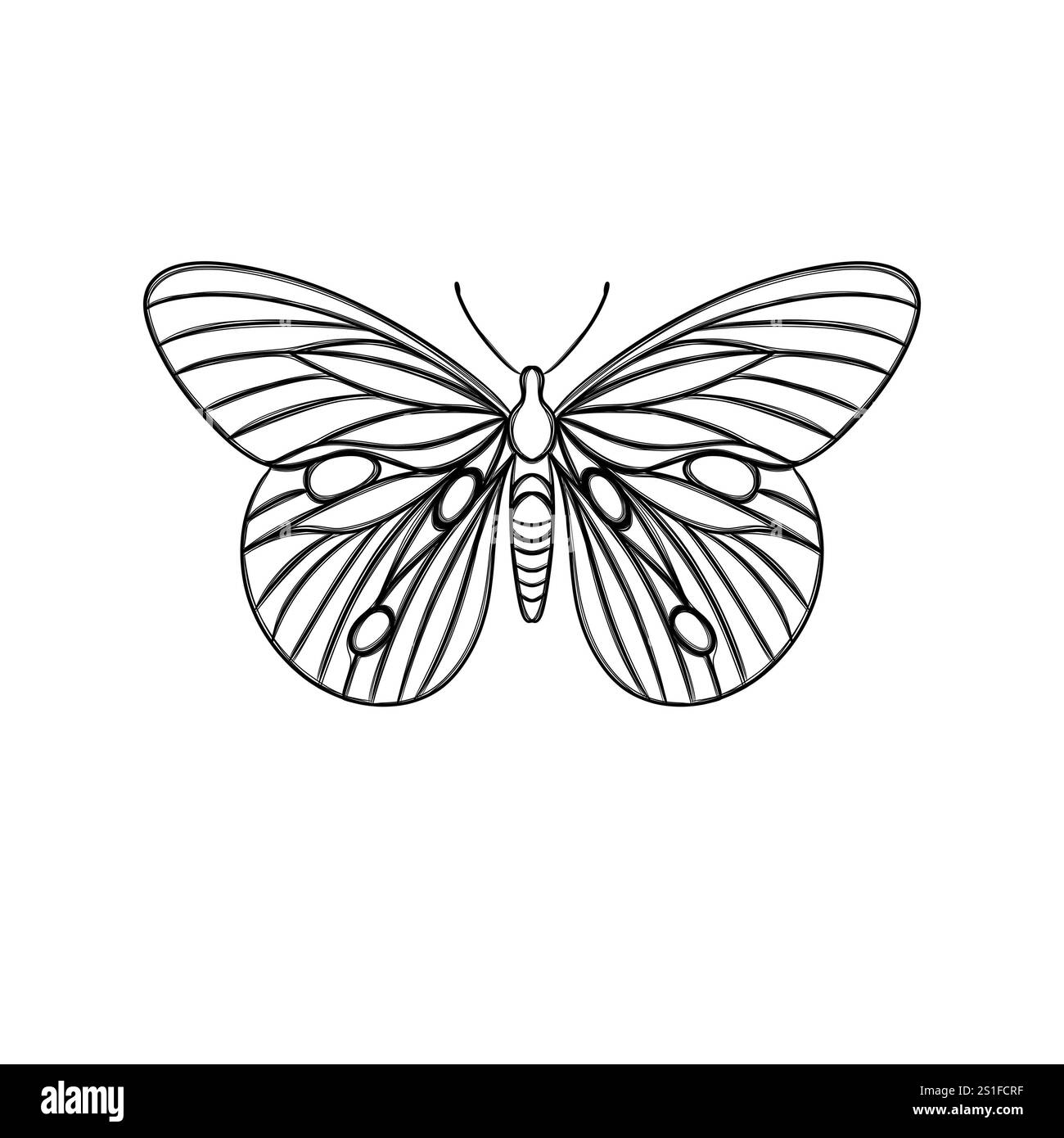 Line art butterfly, Layout for printing illustrations on T-shirts ...