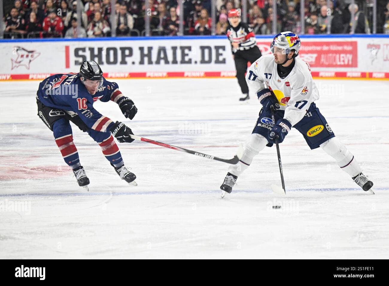 Eishockey DEL - 24/25 - 19. Spieltag: Kölner Haie vs EHC Red Bull München am 03.01.2025in der ...