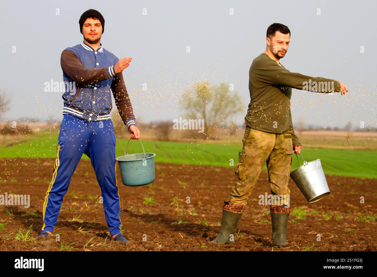 Sow grain hi-res stock photography and images - Alamy