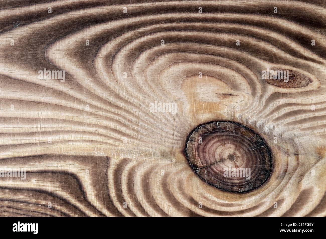 Pine board with a knot and a well-defined structure and texture of wood ...