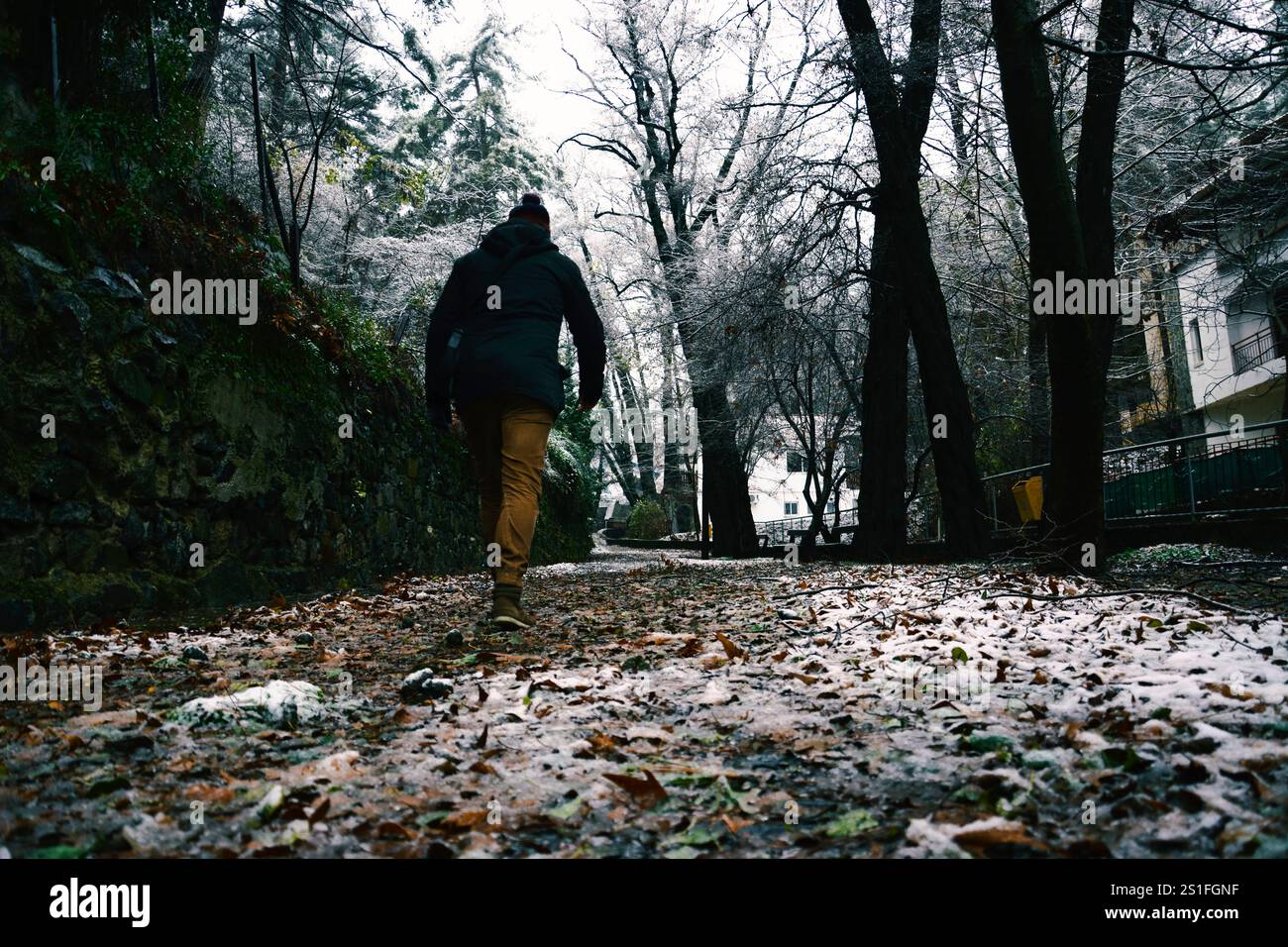 Man walking in a snowy landscape in the forrest. Low angle camera view ...