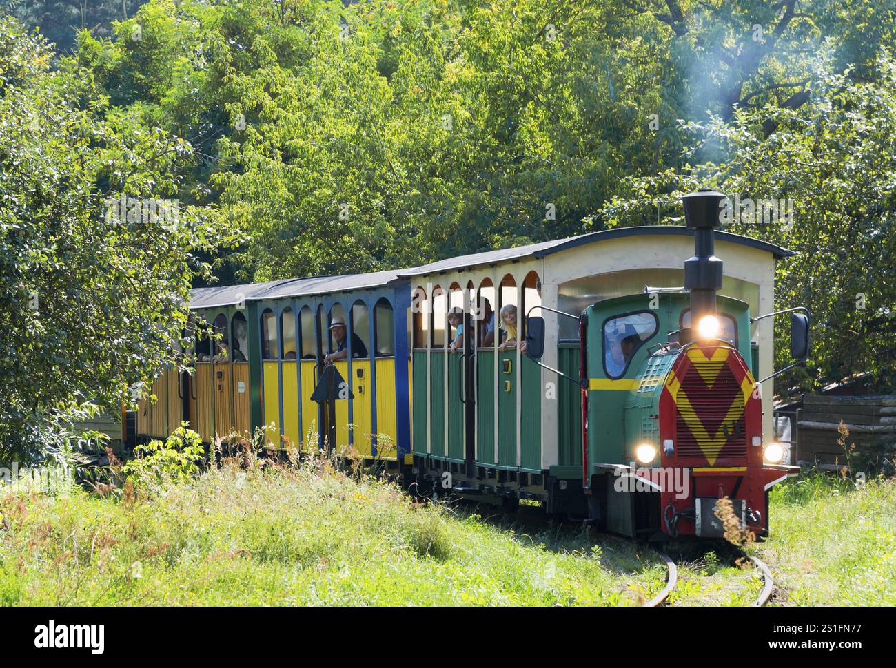 A train runs on tracks through a green, summery landscape, diesel ...