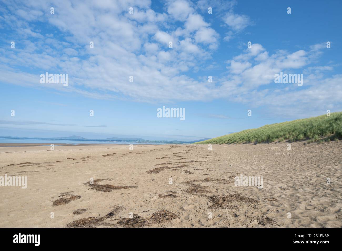 Expansive view of scenic Harlech Beach dunes and grass and patterns in ...