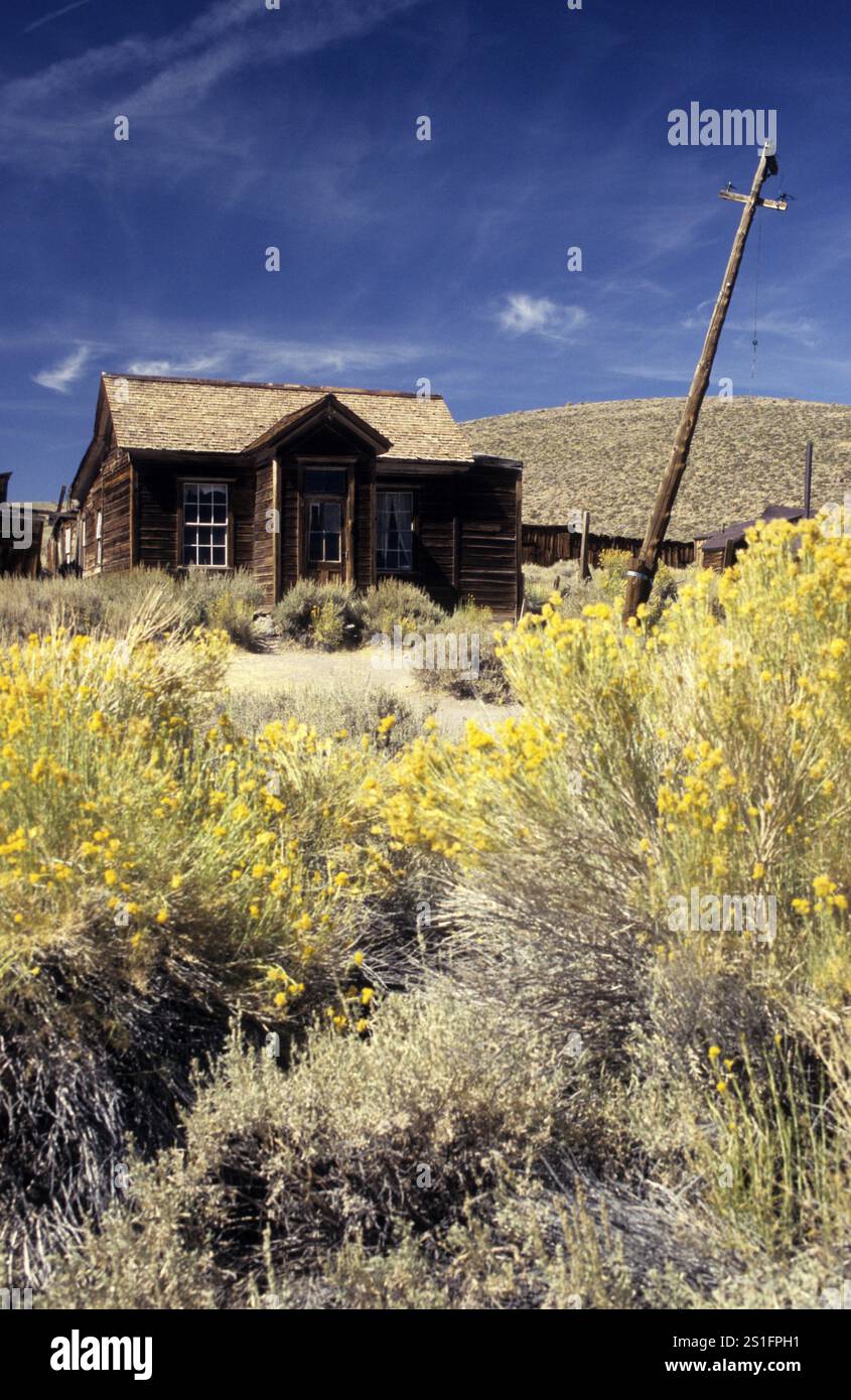 Wooden house in Bodie, in front of it a crooked lamp post. Dry grass ...