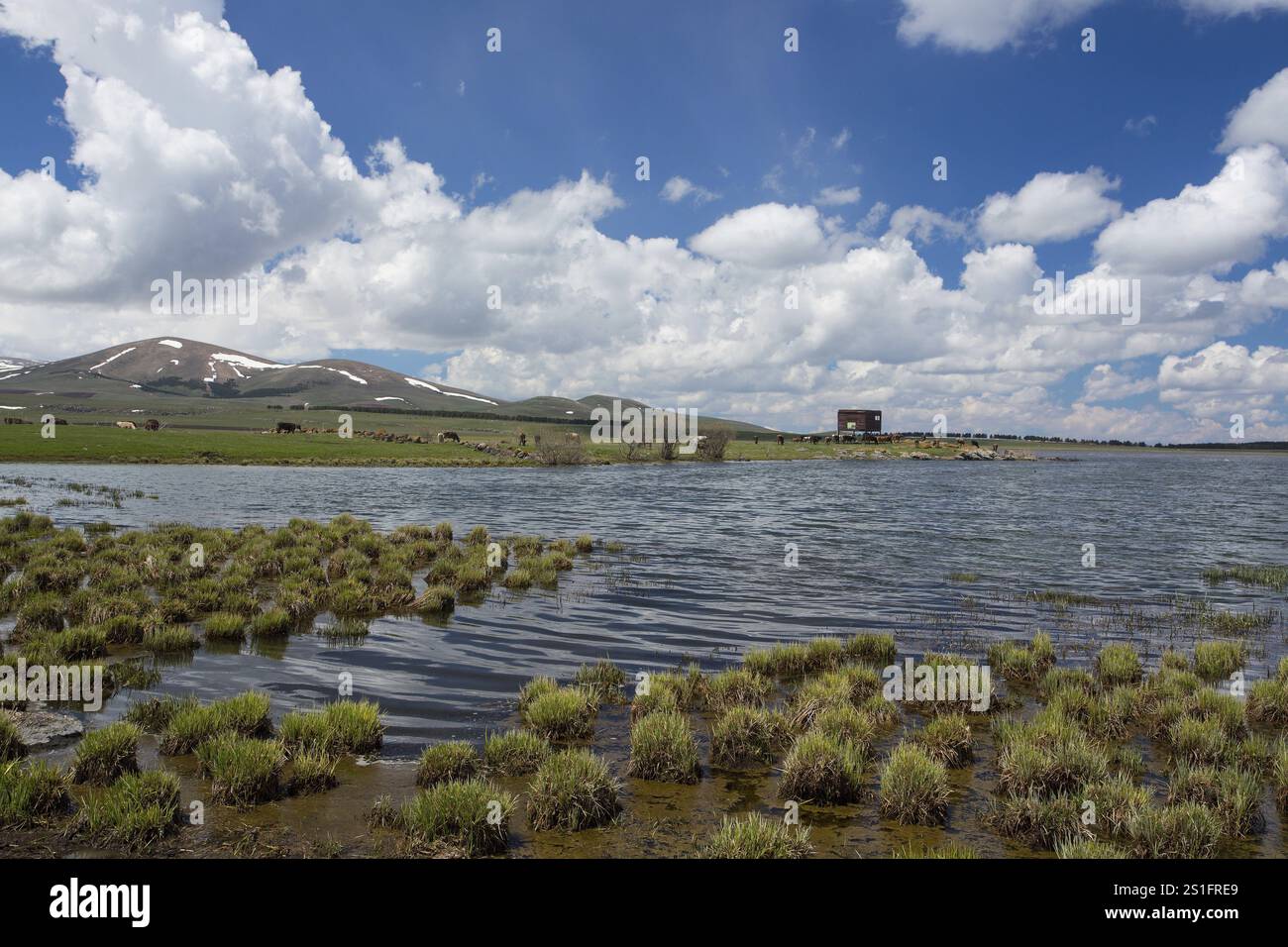 Bugdasheni Lake, Lesser Caucasus, Georgia, Asia Stock Photo - Alamy