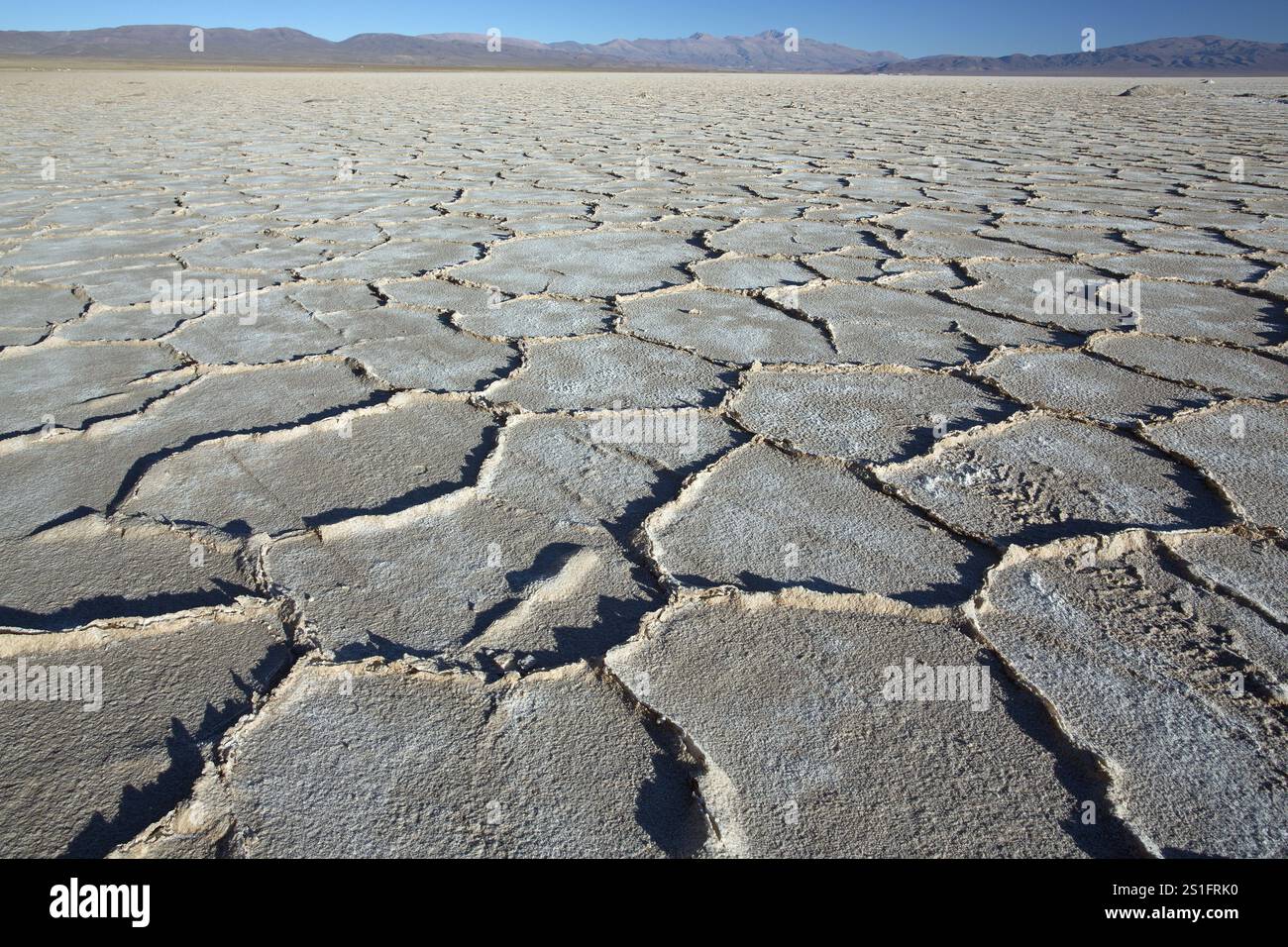 Salinas Grandes, salt lake, Andes, Argentina, South America Stock Photo ...