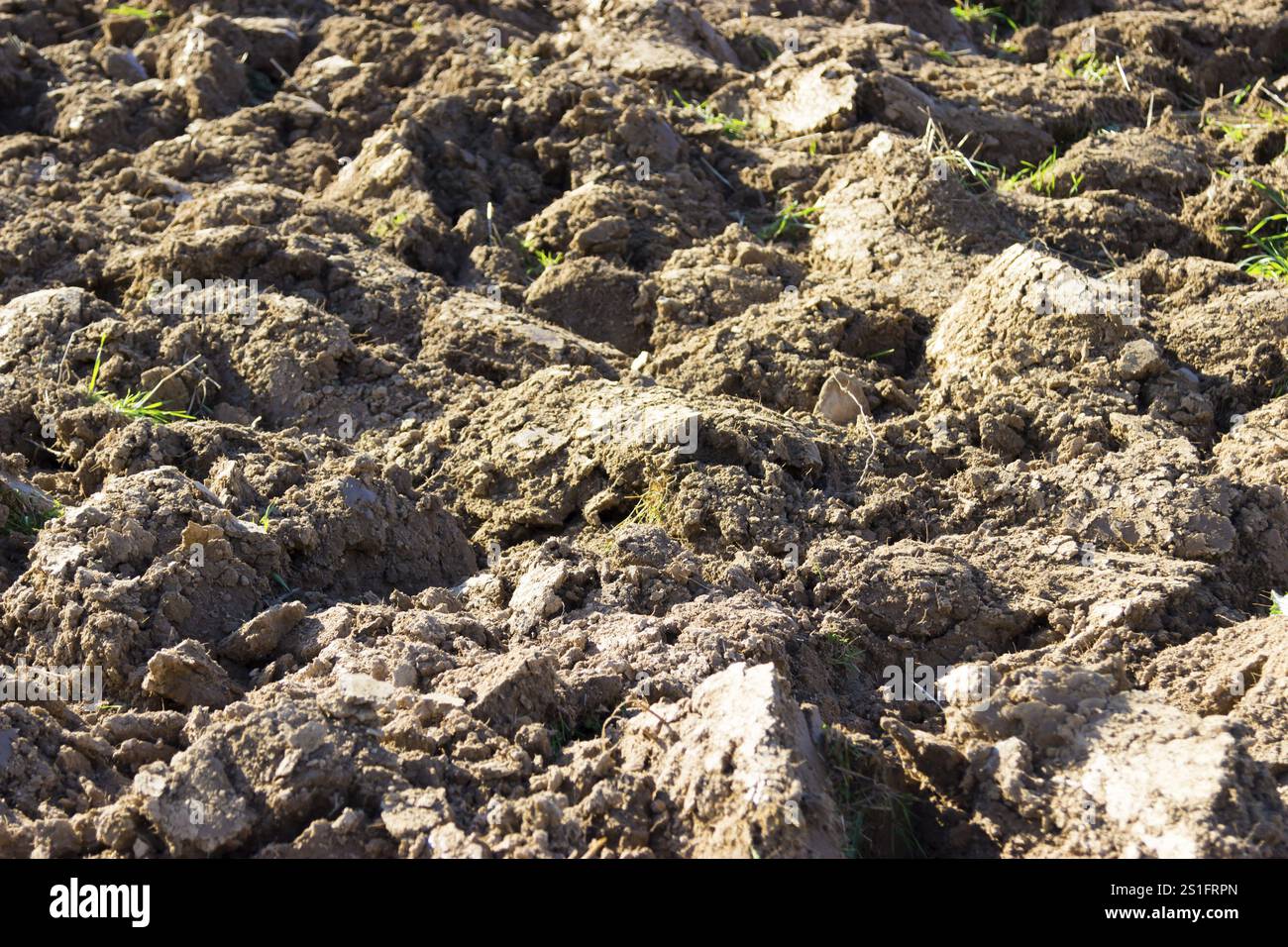 Ploughed up arable land in detail Stock Photo - Alamy