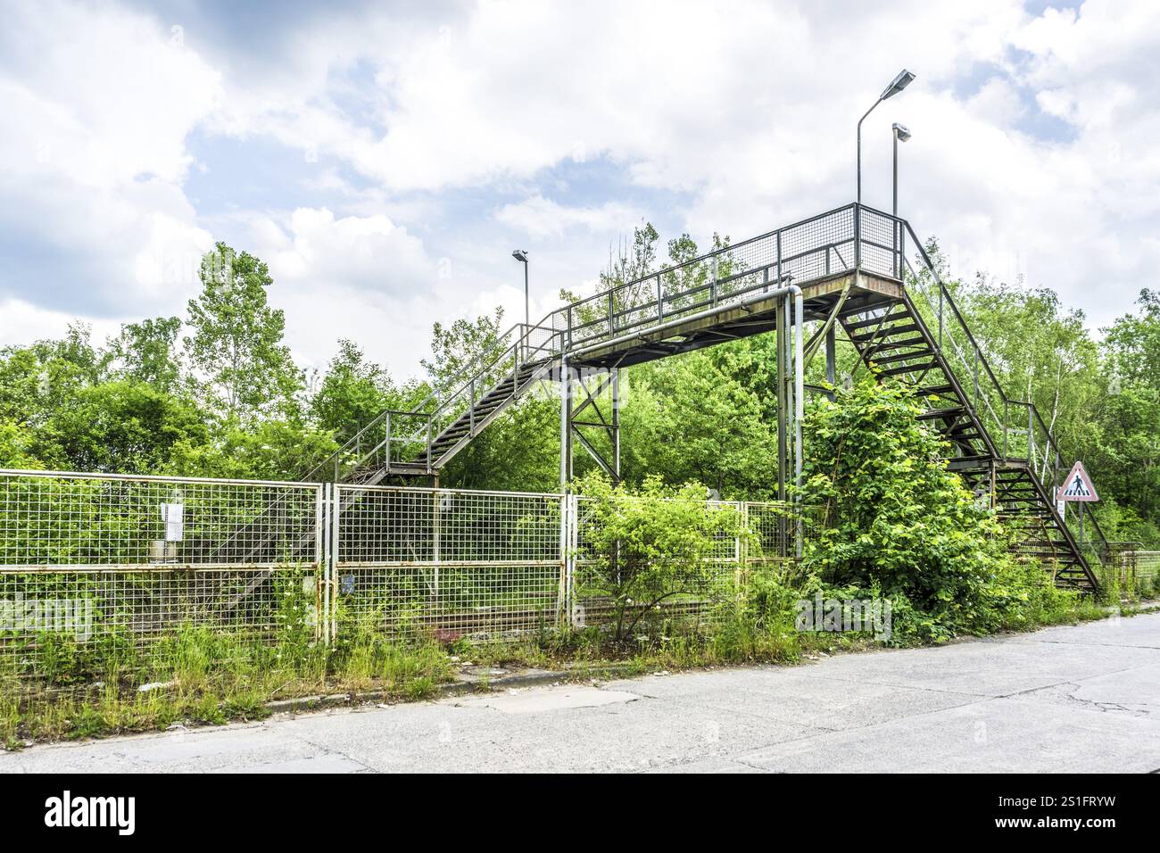 Pedestrian crossing surrounded by green trees and bushes Stock Photo ...