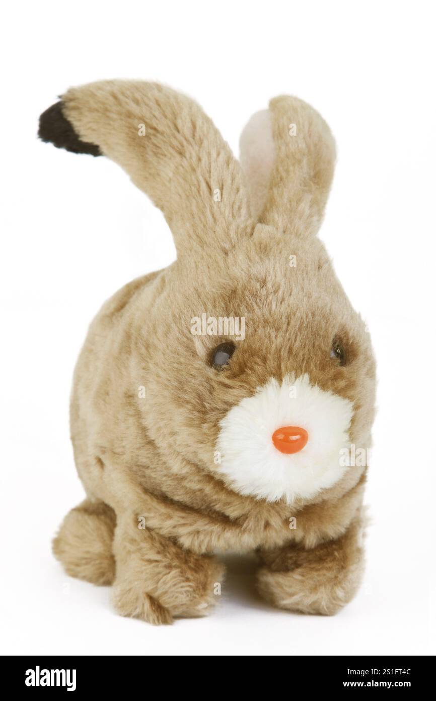 Stuffed animal cropped on a white background Stock Photo - Alamy
