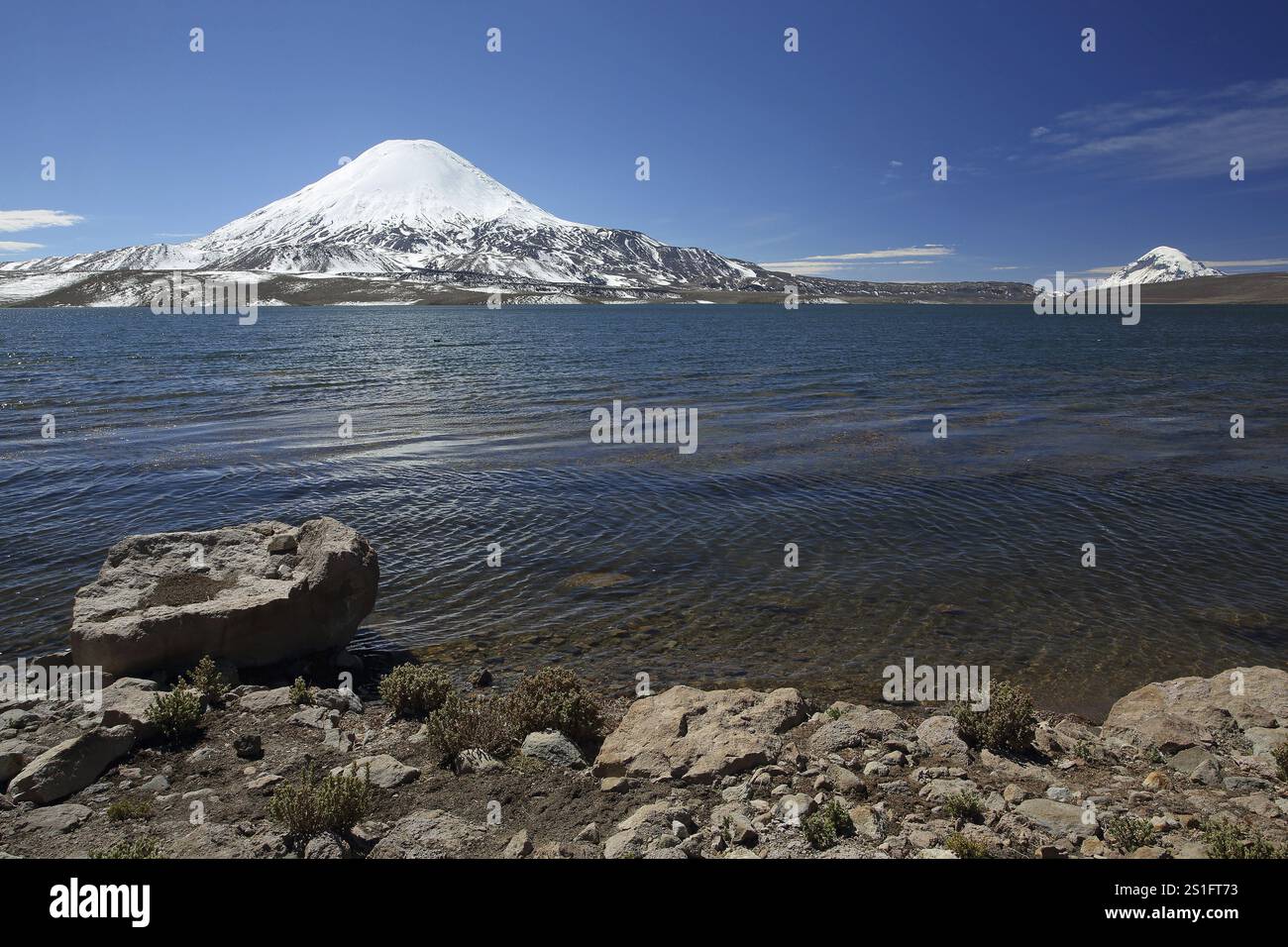 Lauca National Park, Parinacota, volcano, Chile, South America Stock ...