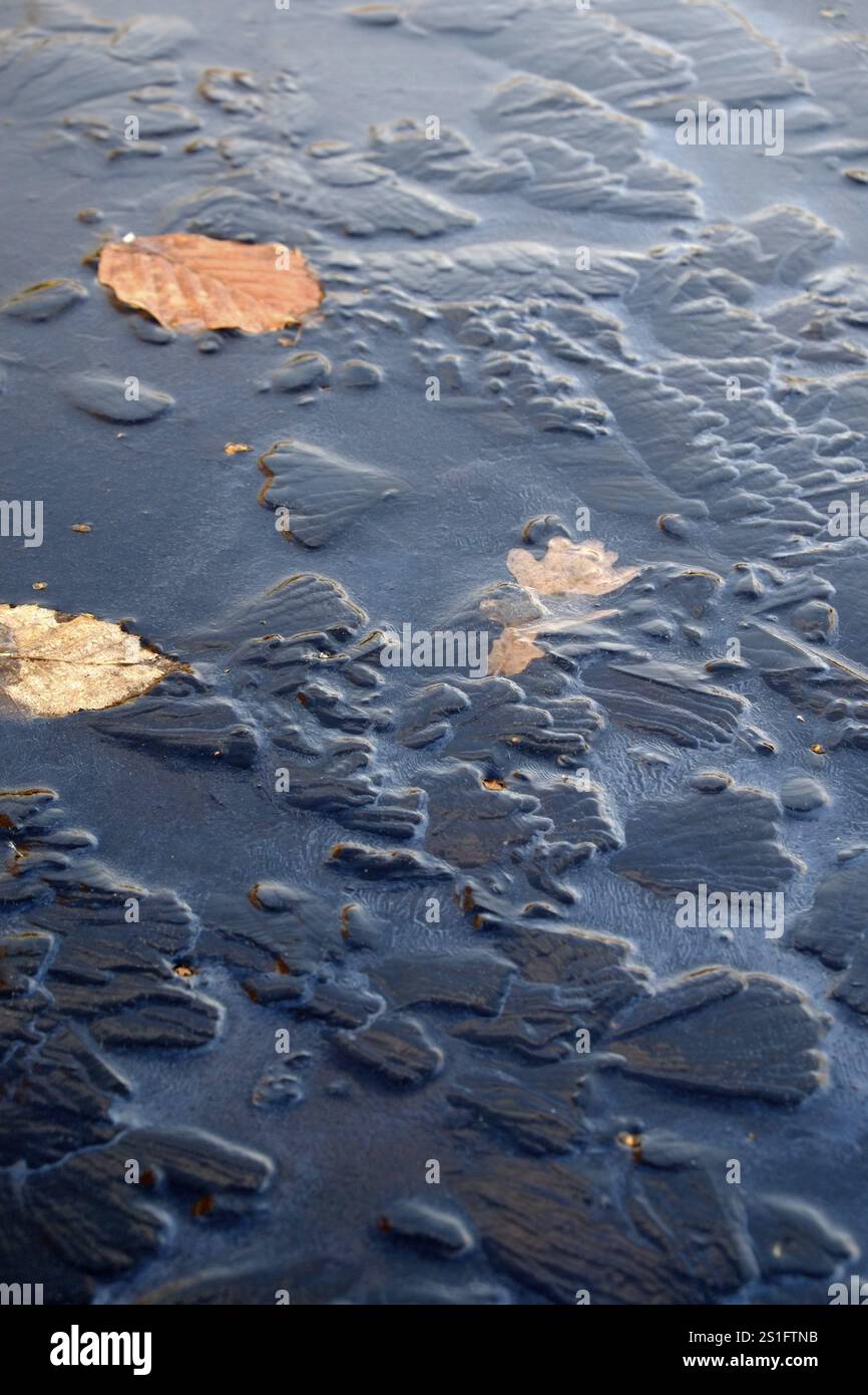 Ice surface with leaf-like structures and frozen leaves. Portrait ...