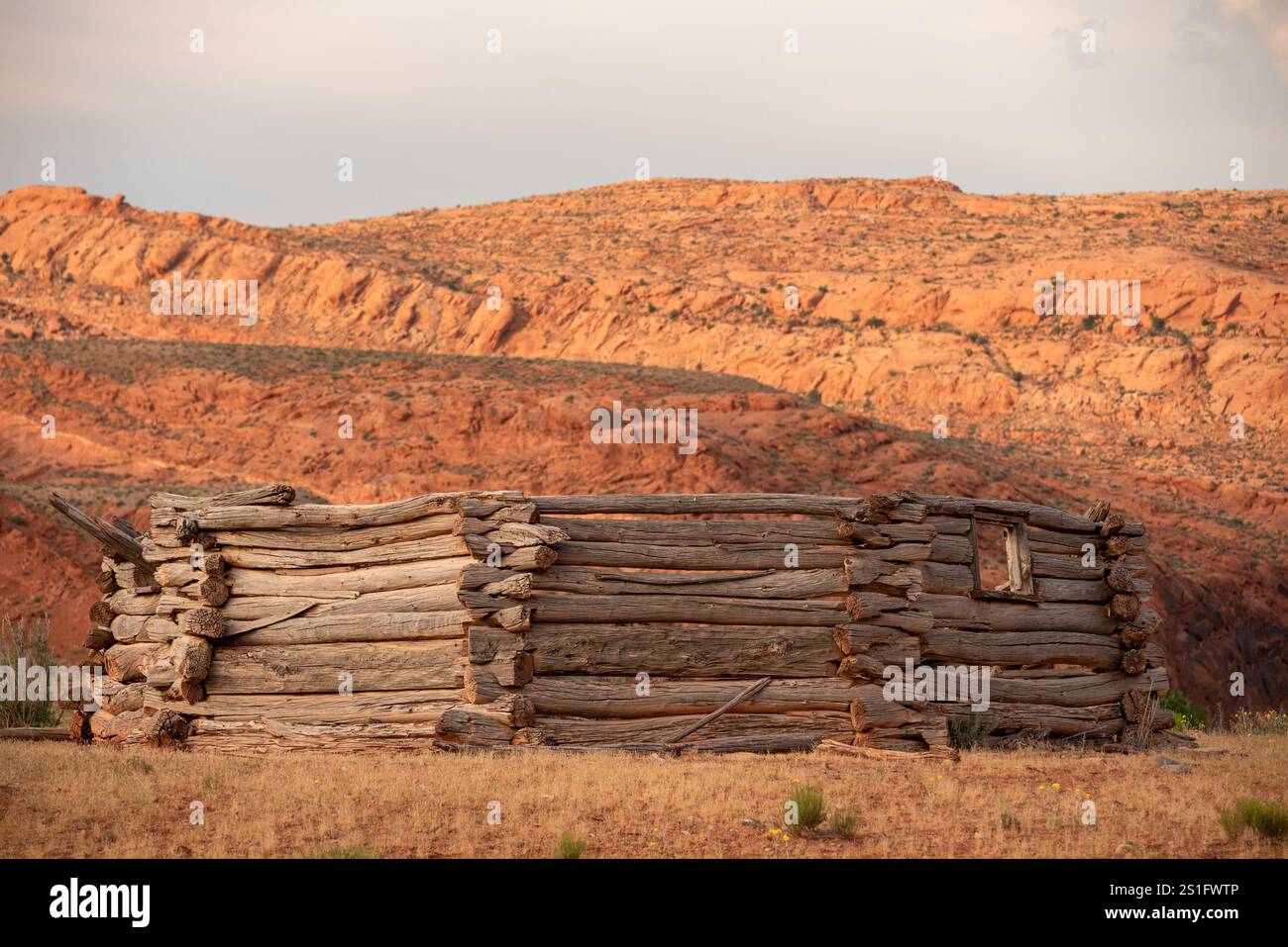 Cows and ruins of a hogan, Navajo Nation, Utah Stock Photo - Alamy