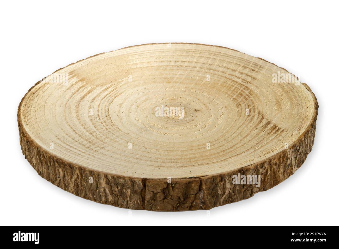 Wooden board with tree bark cut out on a white background Stock Photo ...