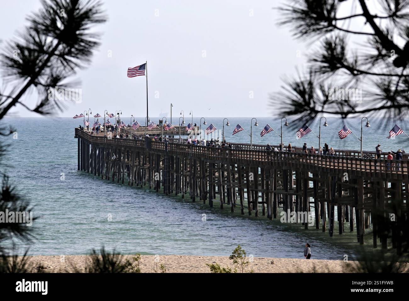 The Ventura Pier is seen framed by trees. American flags line the pier ...