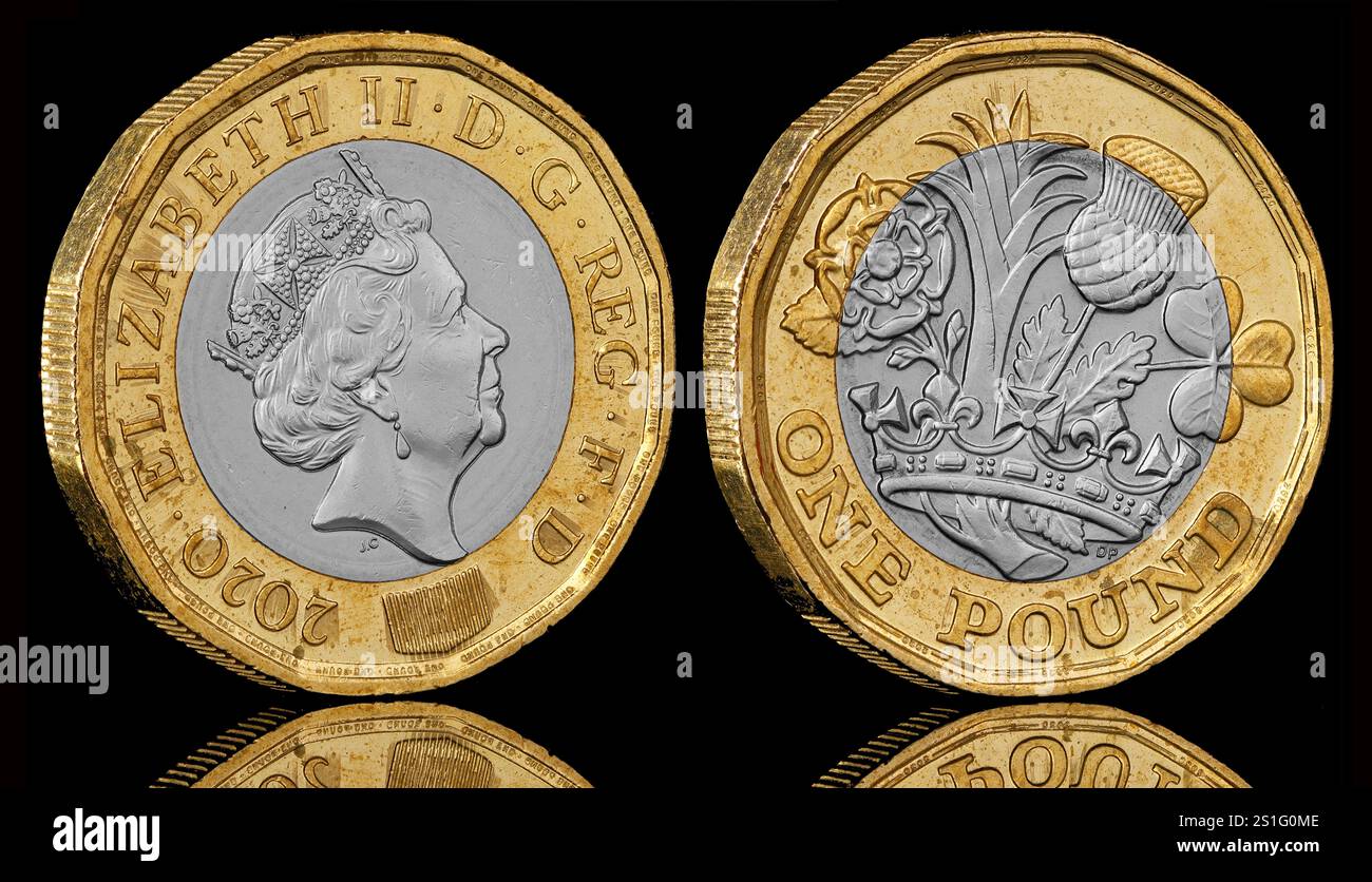 A circulated 2020 UK 12 sided bimetallic £1 coin with Queen Elizabeth ...