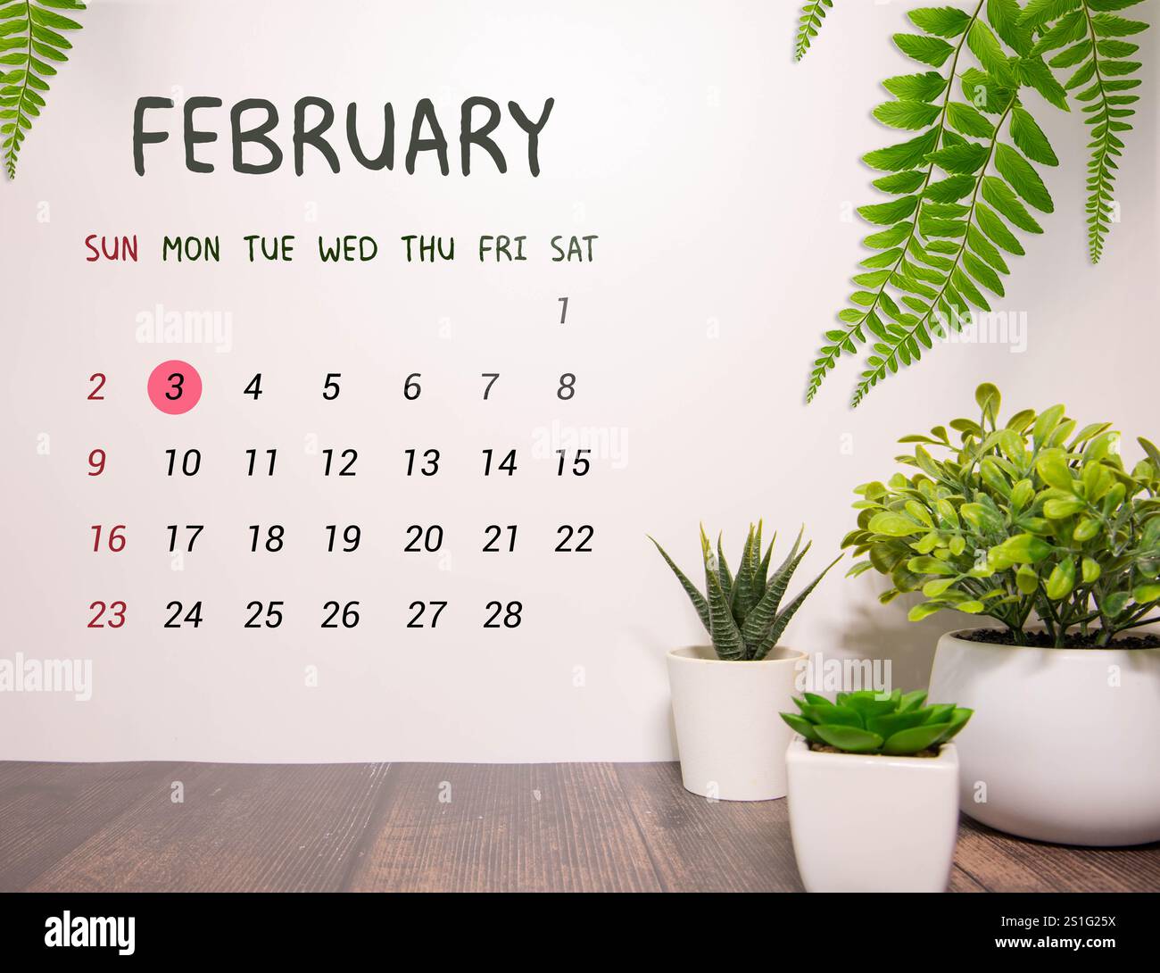 Flower pot and calendar for the snow season from 03 February. Winter ...