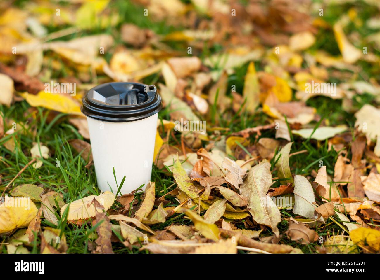 Disposable paper coffee cup with plastic lid stands on lawn among ...