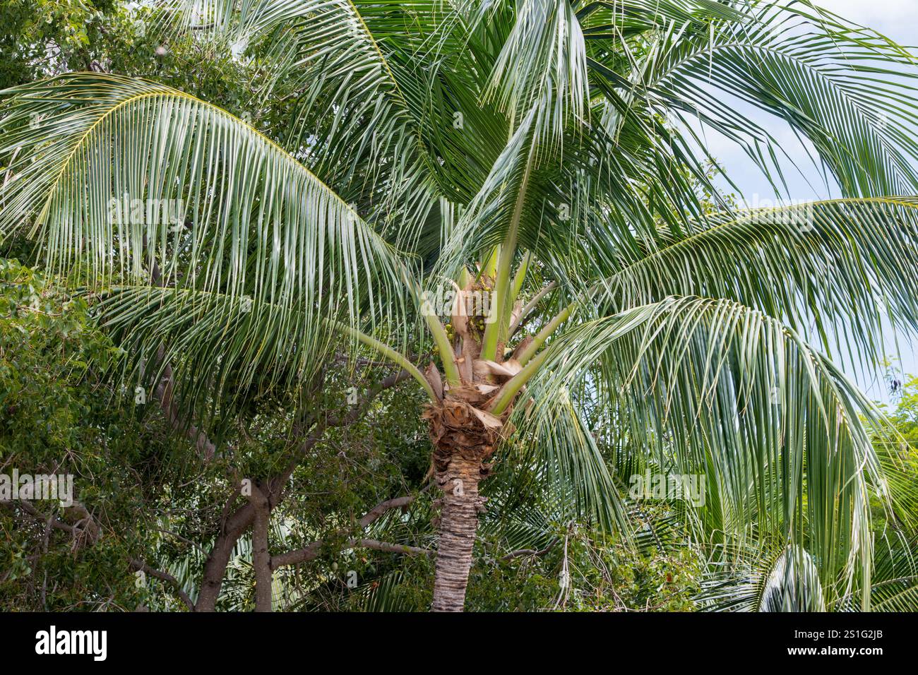 Vibrant backdrop of beach hi-res stock photography and images - Alamy