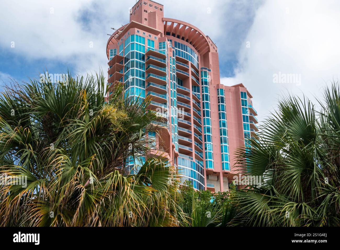 Lush fresh palm trees in Miami Florida Stock Photo - Alamy