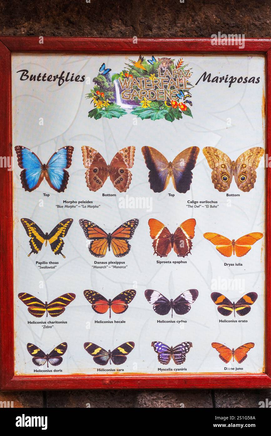 Butterfly identification chart, La Paz Waterfall Gardens, Alajuela ...