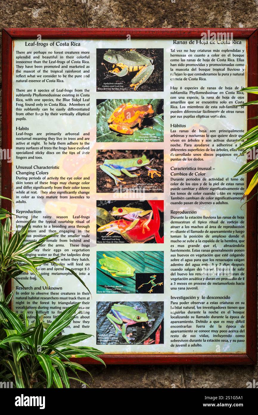 Frog identification chart hi-res stock photography and images - Alamy