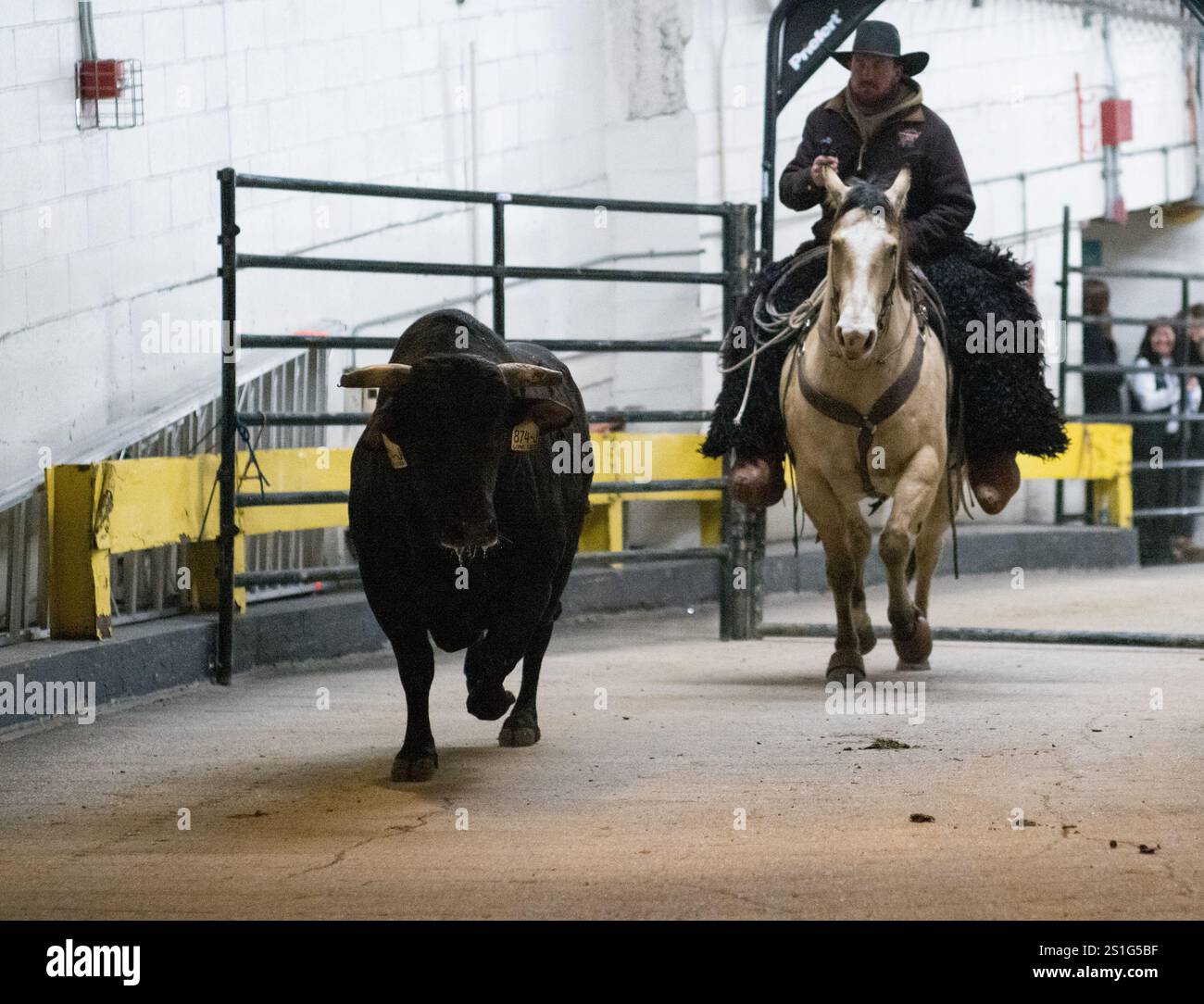 New York, New York, USA. 3rd Jan, 2025. Wrangler Jared Groene of Las ...