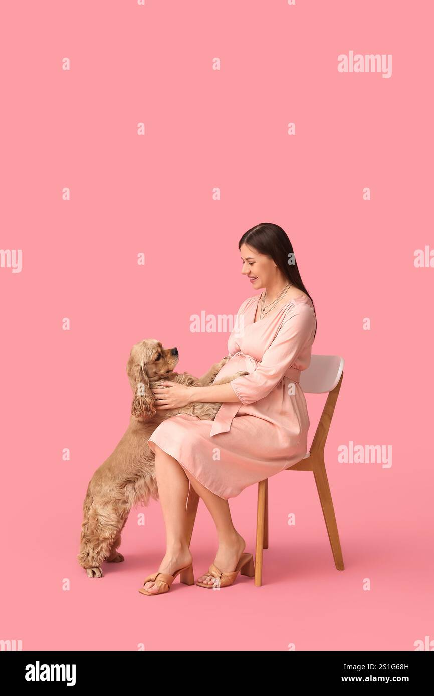Beautiful young pregnant woman with cute Cocker Spaniel dog sitting on ...