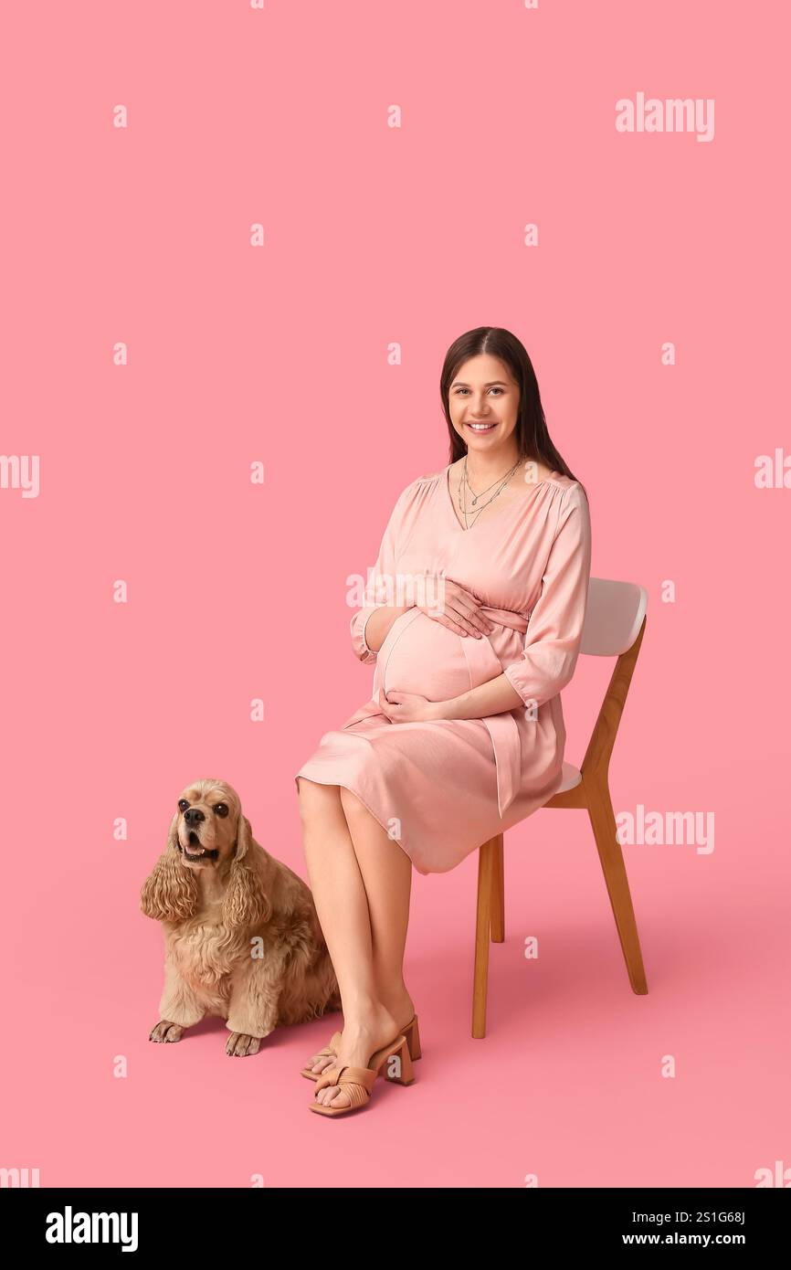 Beautiful young pregnant woman with cute Cocker Spaniel dog sitting on ...