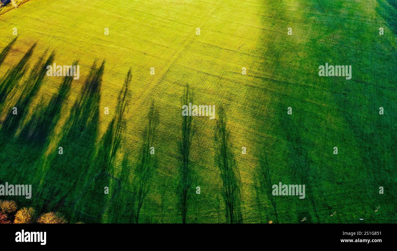 Aerial view of a grassy field with long shadows of trees cast across it ...