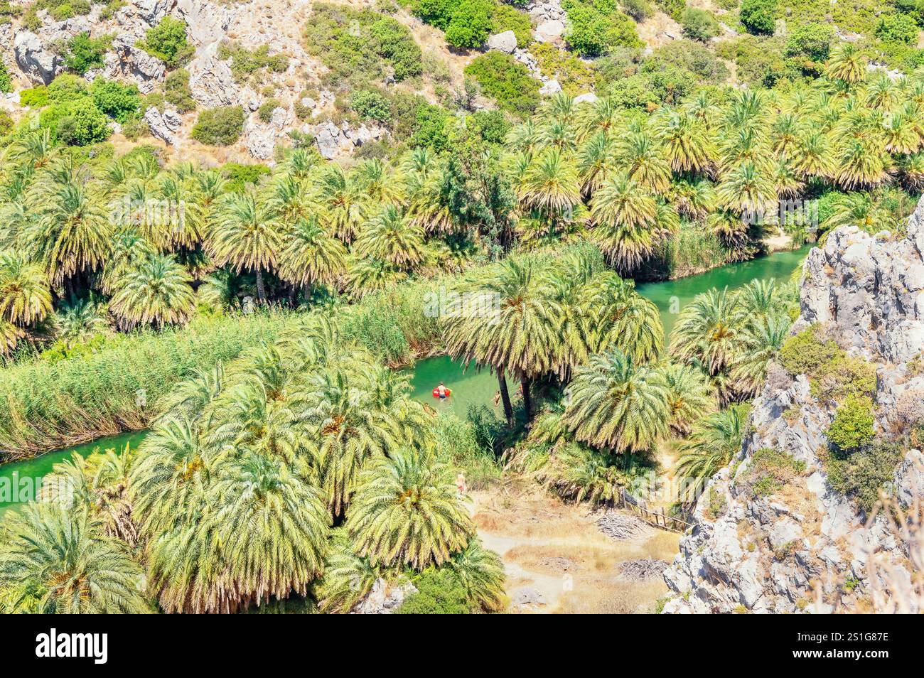 Preveli palm forest, Rethymno, Crete, Greek Islands, Greece Stock Photo ...
