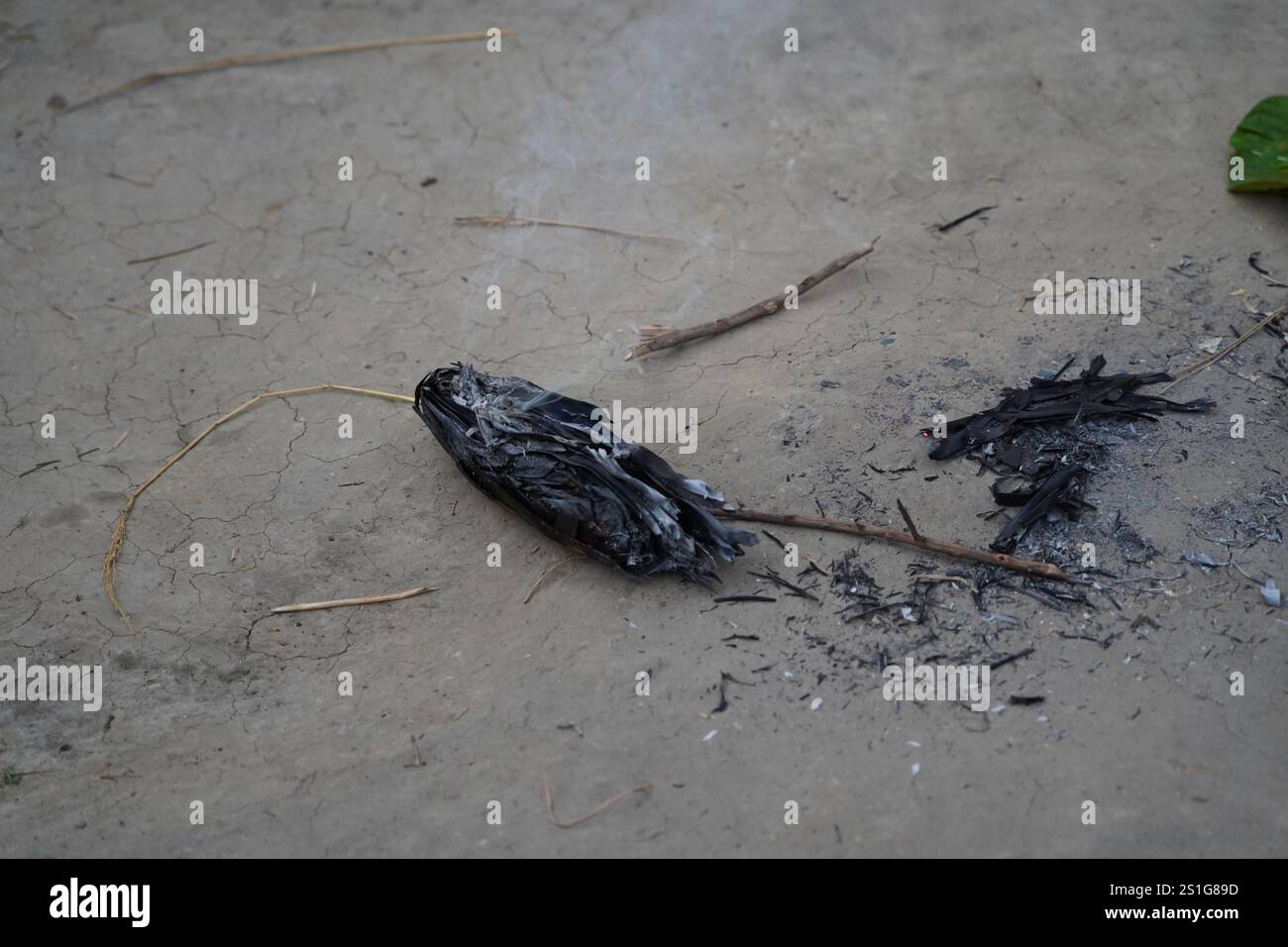 Santiniketan, Birbhum, India - December 6, 2024: The Santal community ...