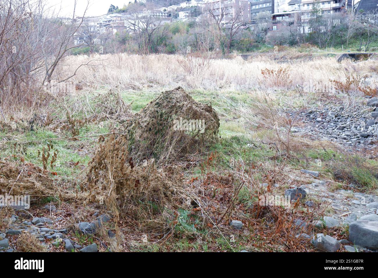 December 30, 2024. Sendai, Miyagi Prefecture, Japan.The riverbed of the ...