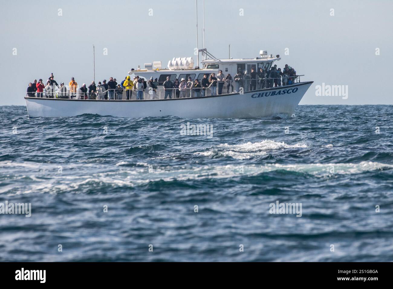 Chubasco, a whale watching boat run by Discovery Whale watch in ...