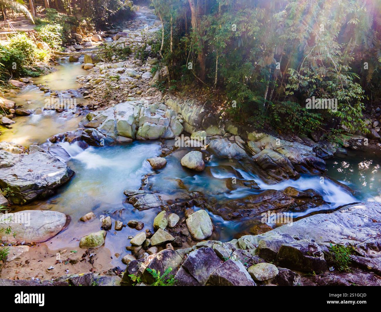 Small river in rain forest Stock Photo - Alamy
