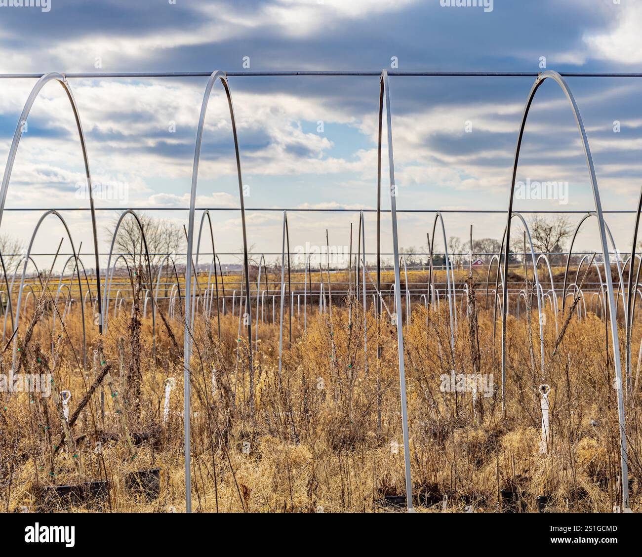 detail image of an old hoop houses on the north fork Stock Photo - Alamy