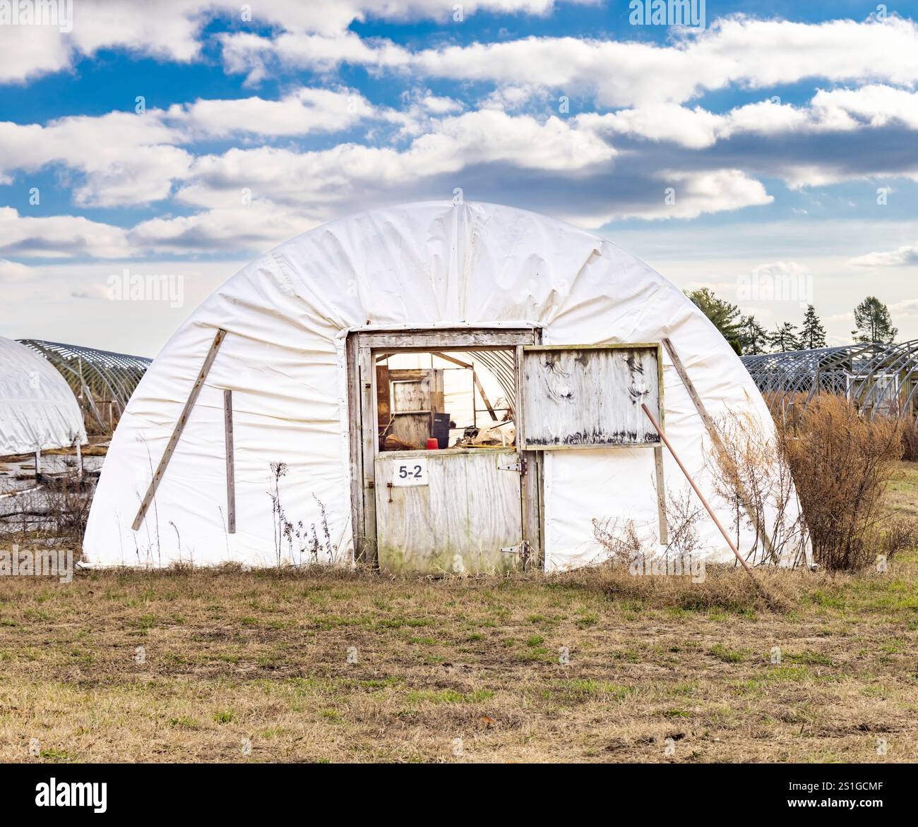 front of an old hoop house on the north fork Stock Photo - Alamy