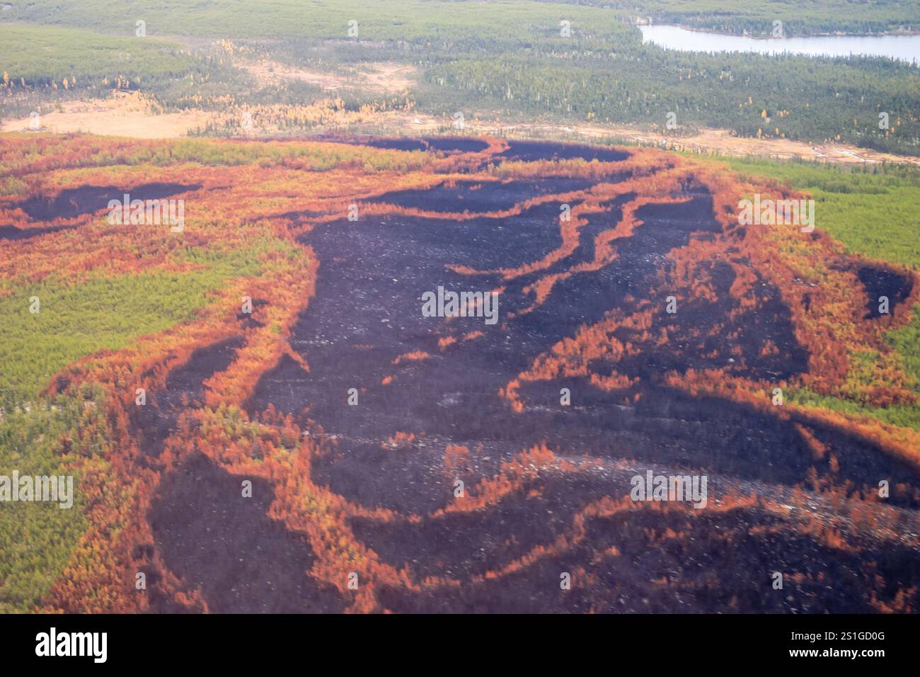 A large area of land is covered in black ash and debris from a forest ...