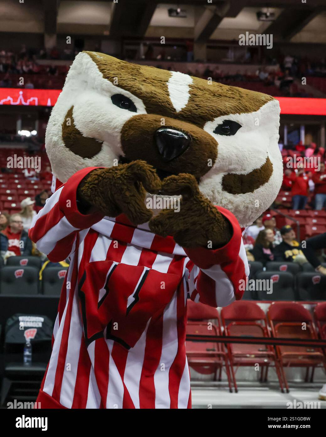 Madison, WI, USA. 3rd Jan, 2025. Wisconsin Badgers mascot Bucky Badger ...
