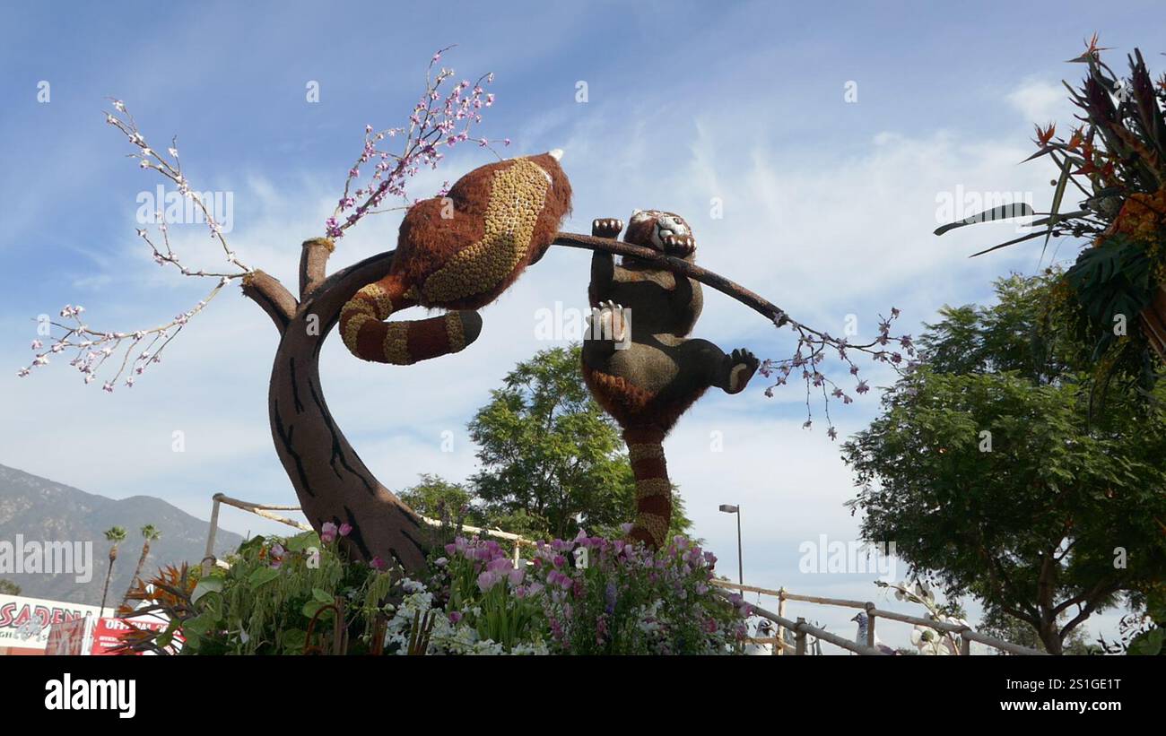 Pasadena, California, USA 3rd January 2025 at 2025 Red Pandas on San ...