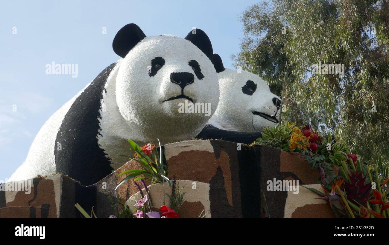 Pasadena, California, USA 3rd January 2025 at 2025 Pandas on San Diego ...