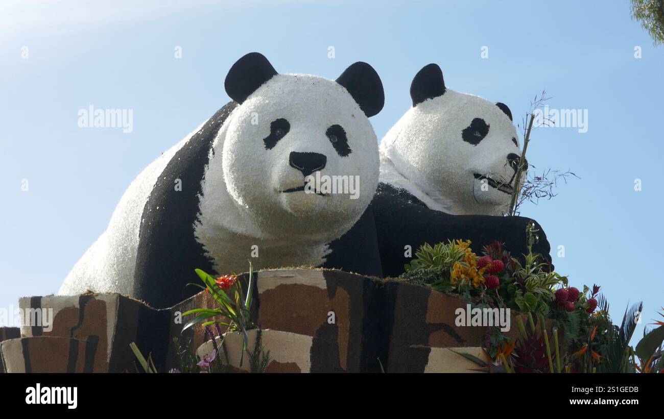Pasadena, California, USA 3rd January 2025 at 2025 Pandas on San Diego ...