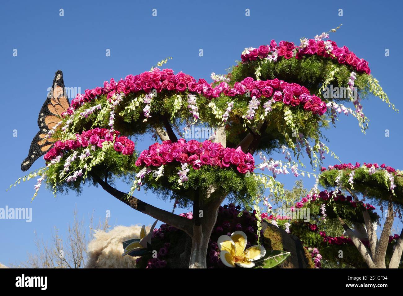 Pasadena, California, USA 3rd January 2025 at 2025 Float at Floatfest ...