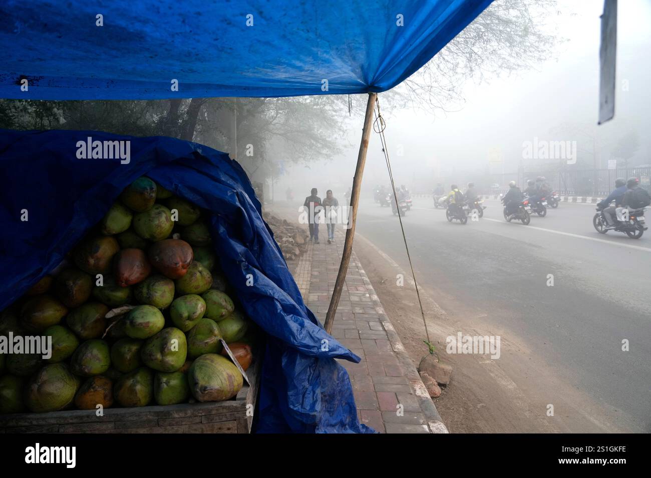 Commuters drive amidst dense fog and cold wave in New Delhi, India ...