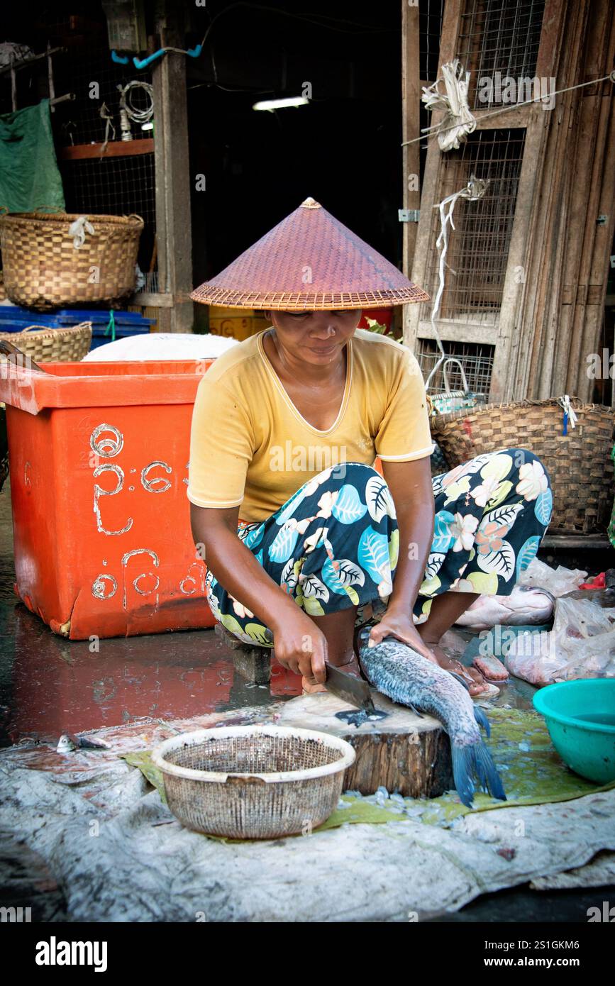 Woman cleaning a fish to sell at a market in Mandalay, Myanmar Stock ...