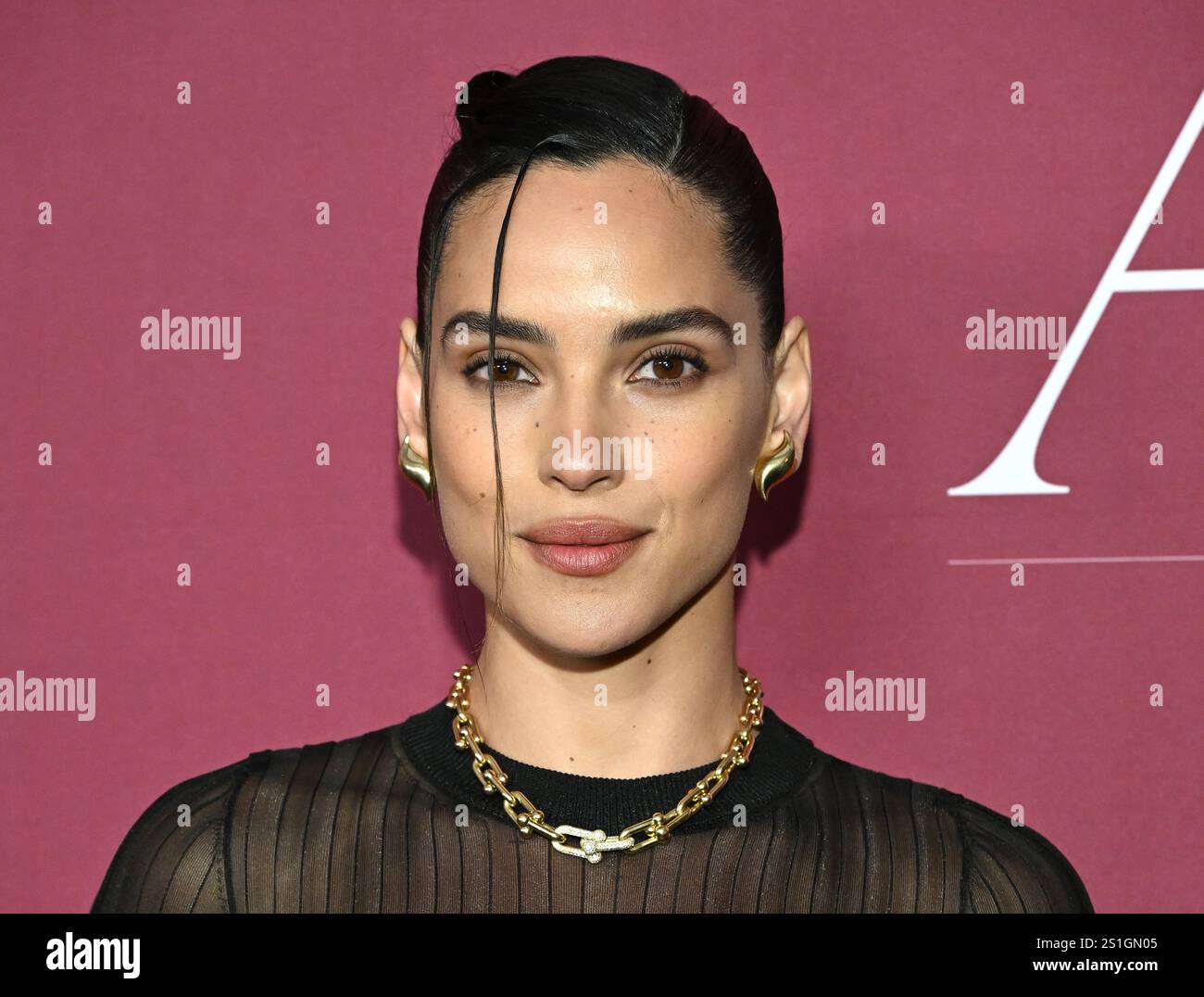 Beverly Hills, USA. 03rd Jan, 2025. Adria Arjona arriving to WWD Style Awards at Four Season Los ...